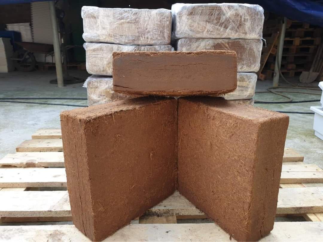 Buy Cocopeat Factory From Vietnam from KOTINOCHI JSC, Vietnam ...