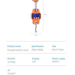 Buy Digital Hook Weighing Scale For Tower Crane, Industry Weighing ...