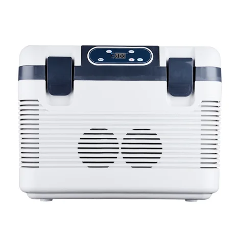 Buy Digital Screen 19 Liter Portable Ac/dc Powered Thermoelectric ...