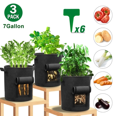 Buy Factory Fabric Grow Root Control Container Bag Felt Grow Bag Plant ...