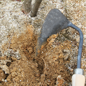 Buy Hand Digging Tools Small Garden Hoe With Wooden Handle Agricultural ...