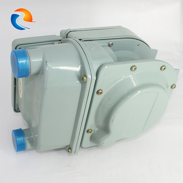 Buy Intelligent Gas Meter Prepaid Digital Multi Flue Gas Meter from ...