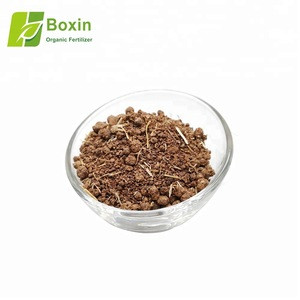 Buy Organic Fertilizer And Bio Pesticide Tea Seed Cake Meal For ...