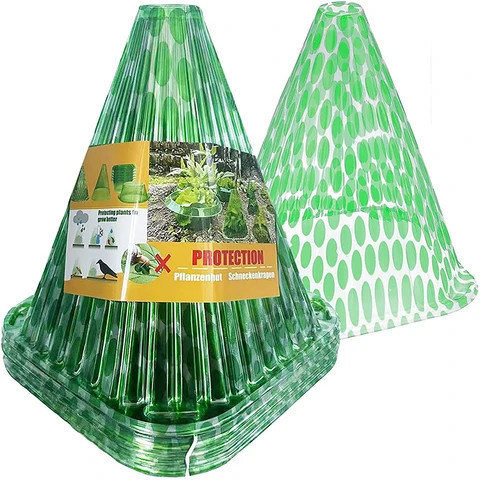 Buy Pet Pvc Plastic Premium Transparent Green Bell Plant Cloche For ...