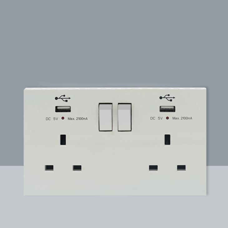 Buy Dual Port Switch Socket With Usb from Hangzhou Assem Electronics Co ...