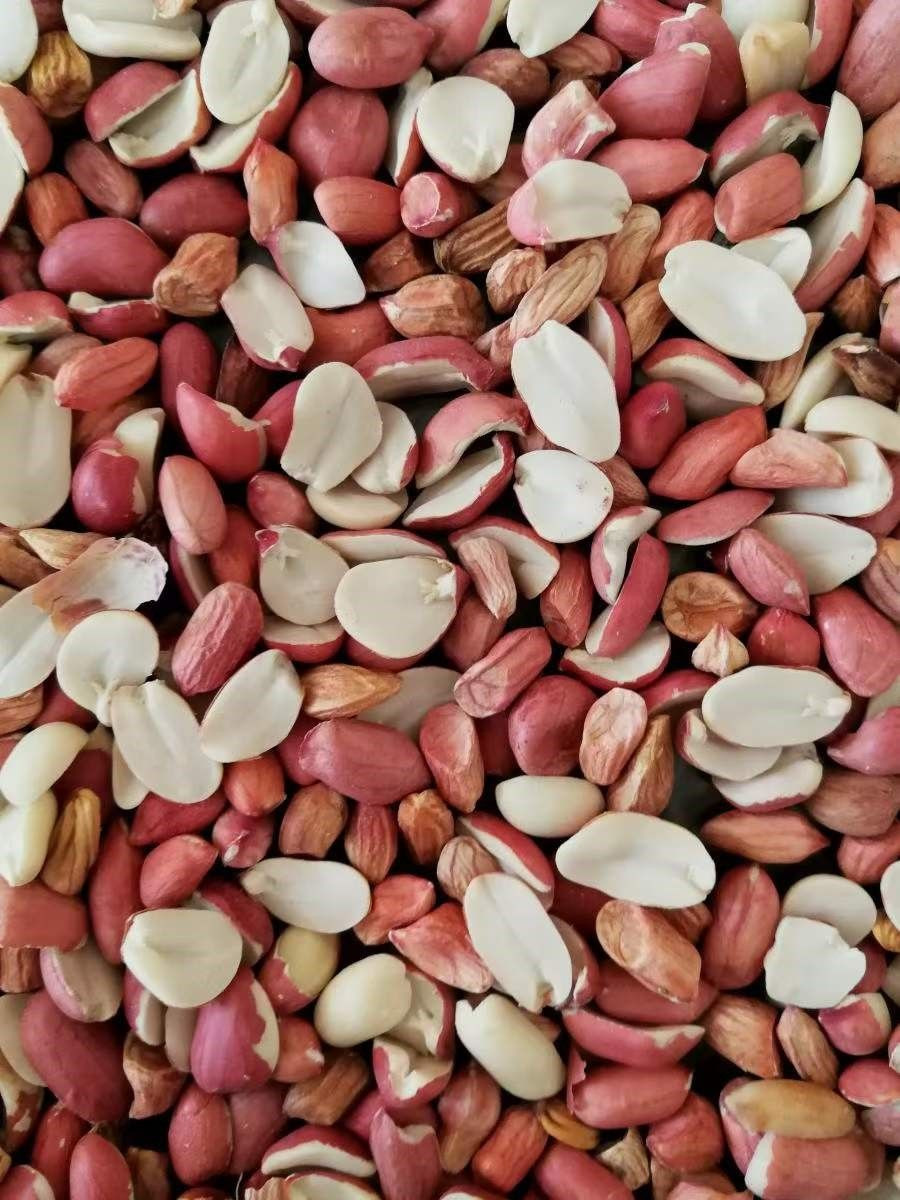 Buy Normal Peanuts from Zitang Orchard Co., Ltd, China | Tradewheel.com