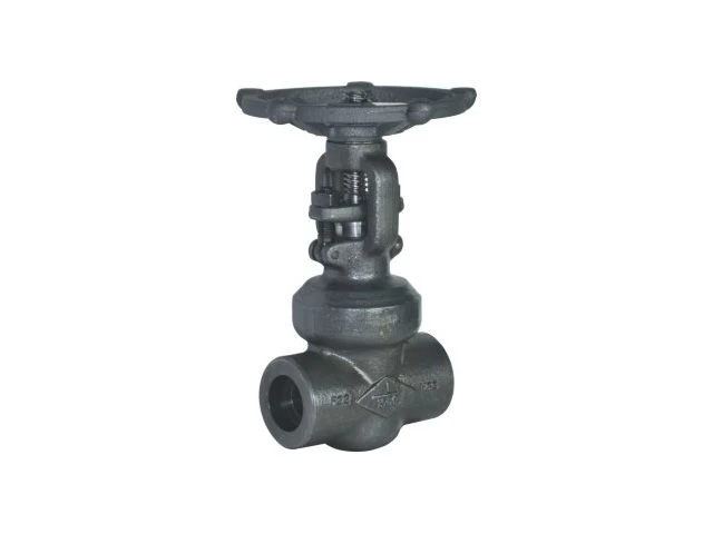 Buy Api-602 Sw End Gate Valve from Wenzhou Henlem Valve Co., Ltd, China ...