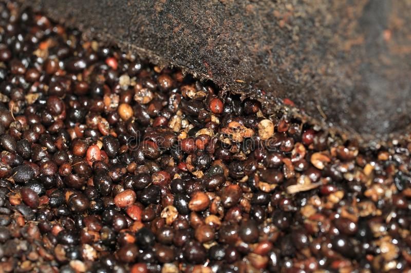 Buy Palm Kernel Cake from Oziamaka farms, Nigeria | Tradewheel.com