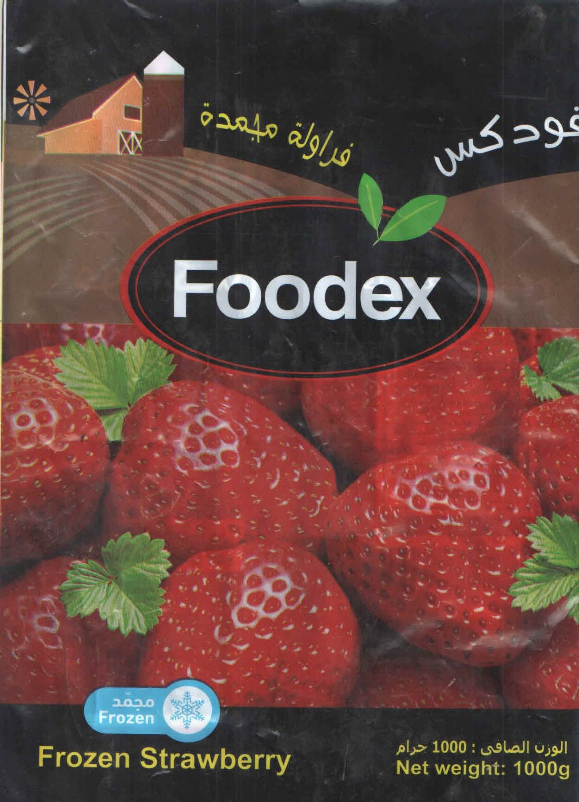 Buy Frozen Strawberry from Al-Arabia for cooling and packing, Egypt ...