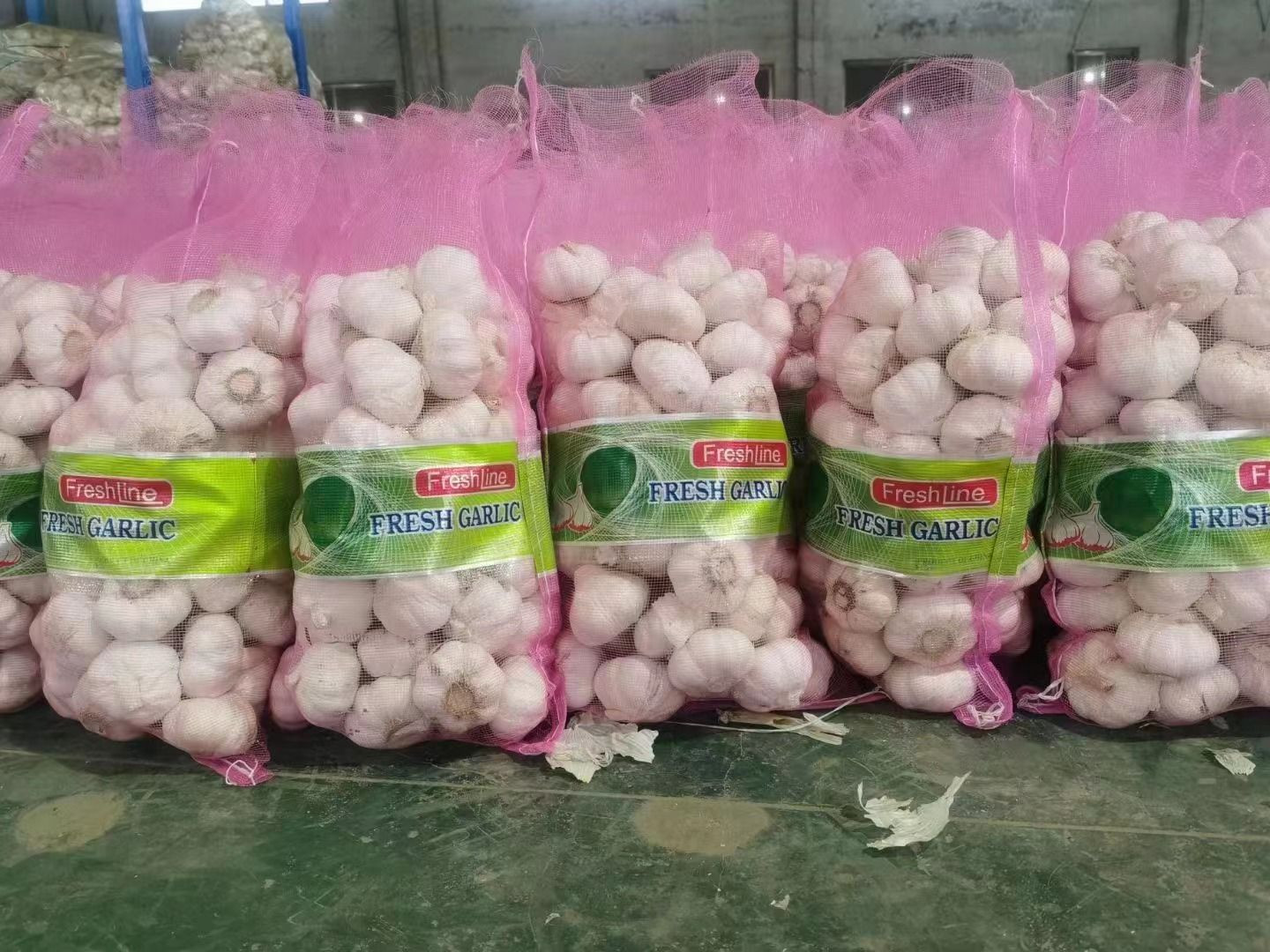 Buy Chinese Normal White Garlic /pure White Garlic/fresh Garlic from ...
