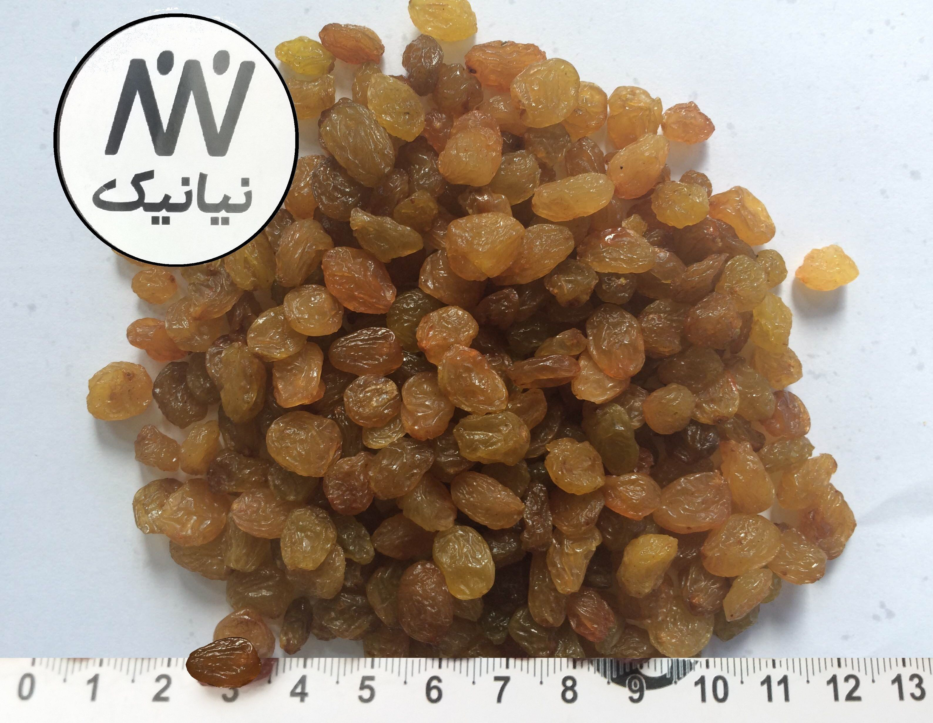Buy Light Brown Raisins from Nianik, Iran | Tradewheel.com