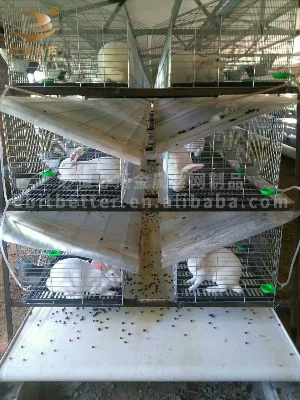 Buy 2021 High-carbon Wire Rabbit Cages Breeding For Rabbit Breeding For ...