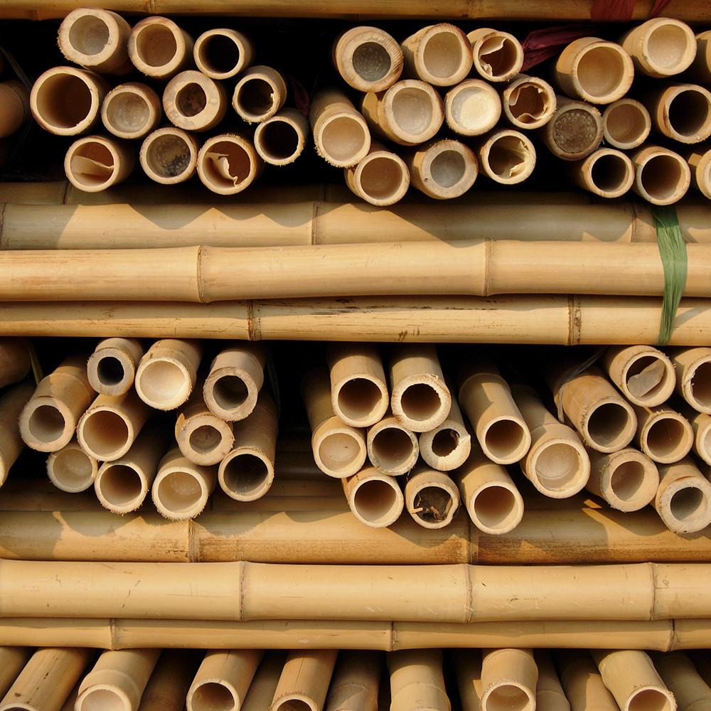 Buy China Bamboo Town Solid Dried Bamboo Poles For Gardening And ...
