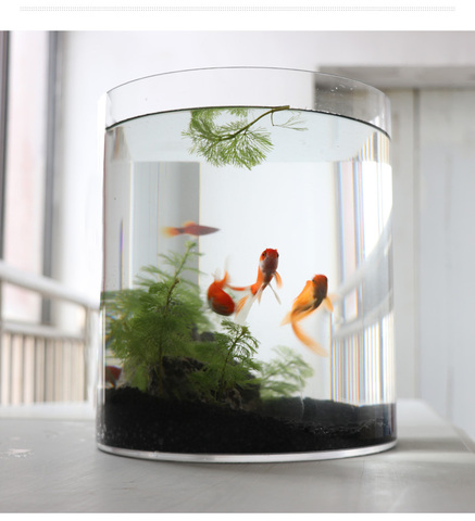 Buy Creative Acrylic Cylinder Fish Tank Living Room Desktop Small ...