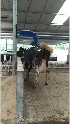 Buy Electric Cattle Body Brush Auto Swinging Cattle Scratching Body ...