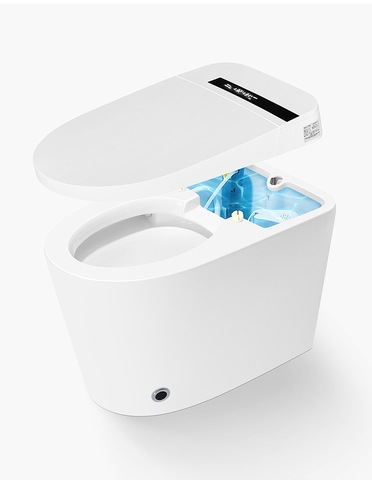 Buy European Style Intelligent Toilet One Piece Bidet Smart Toilet For ...