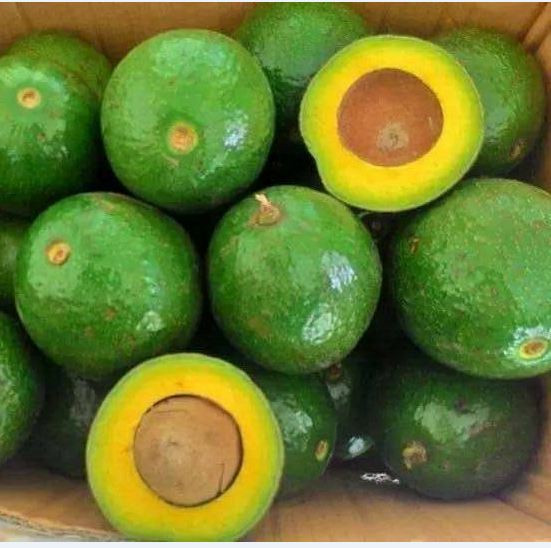 Buy Fresh Hass Avocado Fresh Fruit From Peru from SGX IMPORTACAO E ...