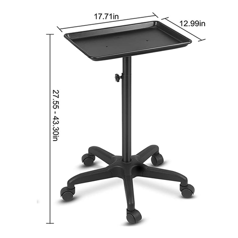 Buy Premium Aluminum Instrument Salon Tray Tattoo Rolling Tray Station ...