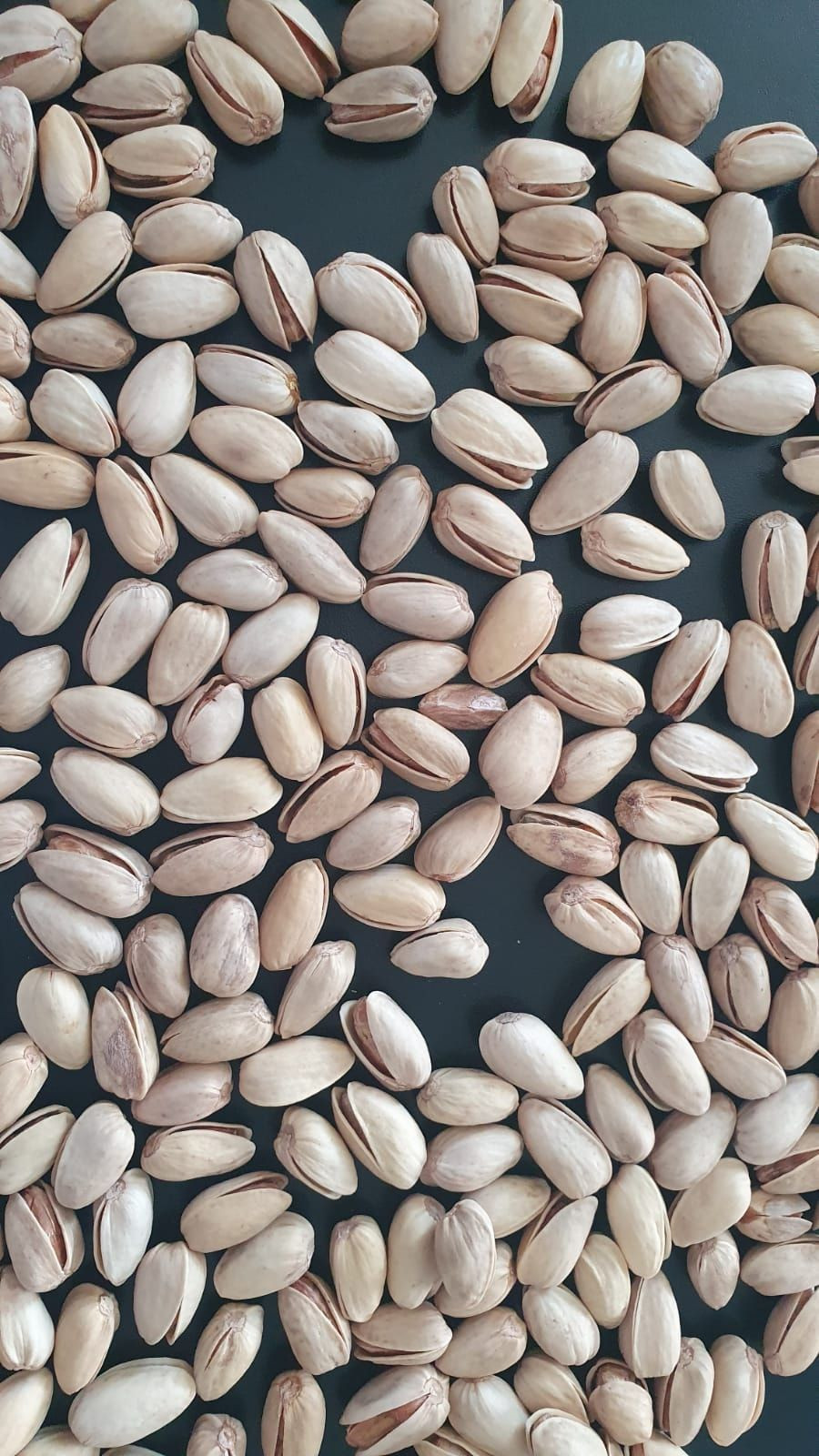 Buy High Quality Pistachio Dried Pistachio Nuts With Salt Pistachios ...