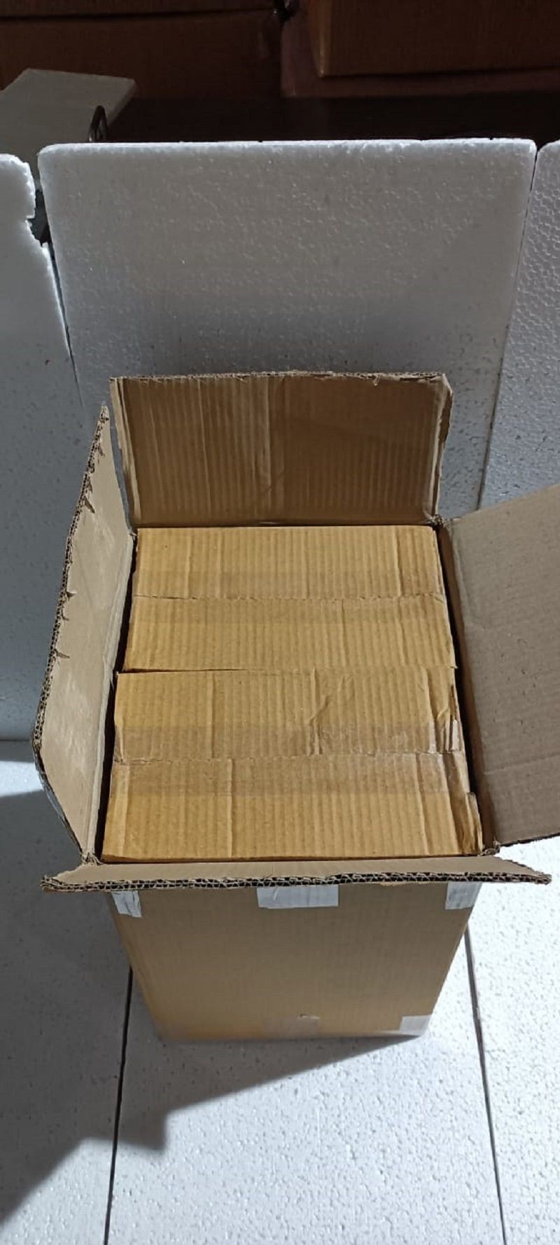 Buy Colour Powder Colour Thrower Single Jet For Gender Reveal from ...