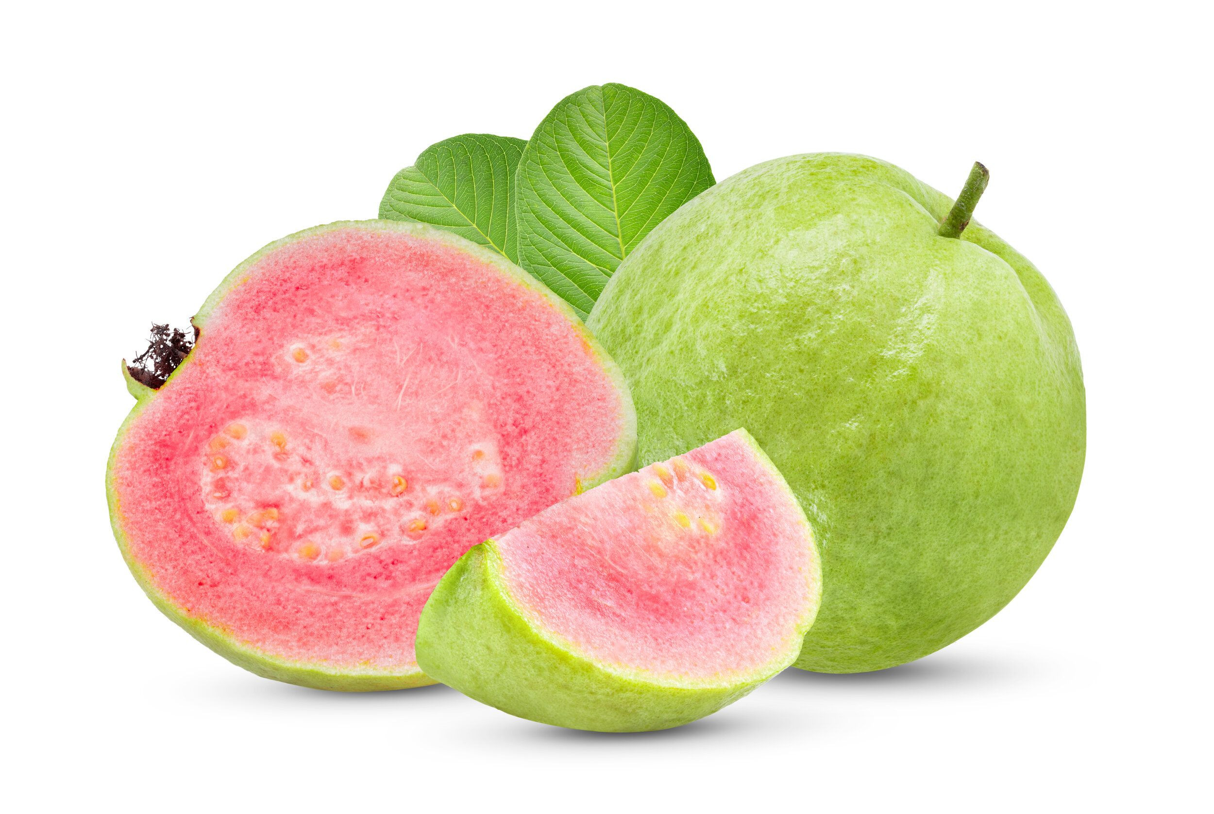 Buy Guava from KHUSHI FARM, India | Tradewheel.com