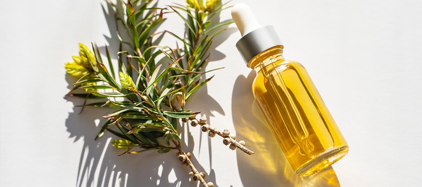 Buy Pure Tea Tree Essential Oil & Skincare Solutions For Clear, Healthy ...