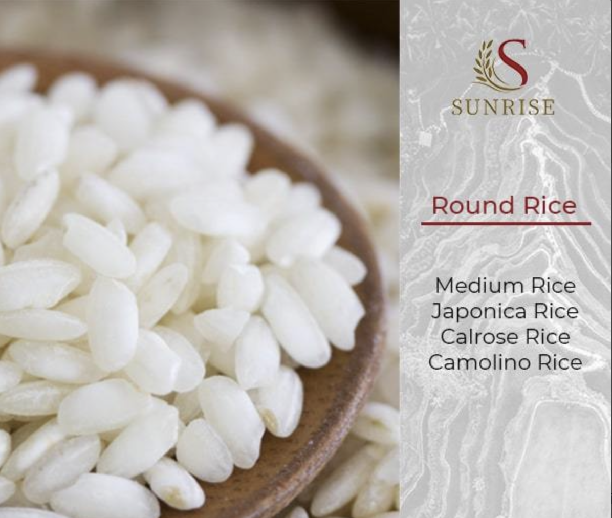 Buy Round Rice from Sunrise Ins Vietnam, Vietnam | Tradewheel.com