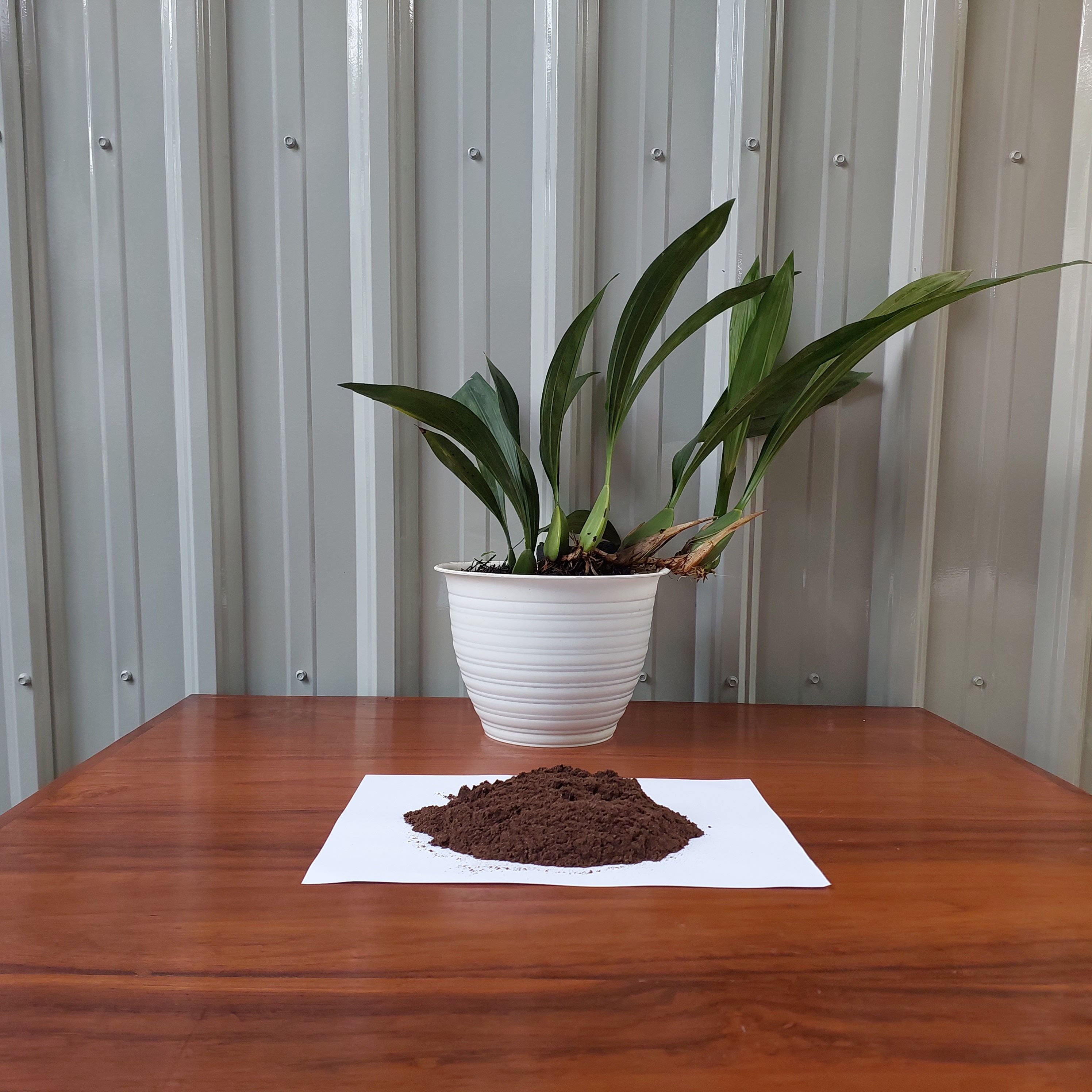 Buy Bat Guano - Powder from Madubaru Agrikultura, Indonesia ...