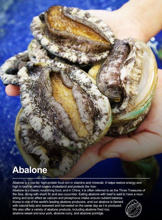 Buy Frozen Abalone (with Shell / Meat / Processed Food) from Teraso ...