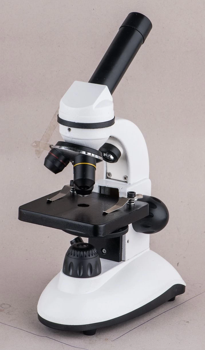 Buy 400x Magnification Student Microscope For Home And School from TELI ...