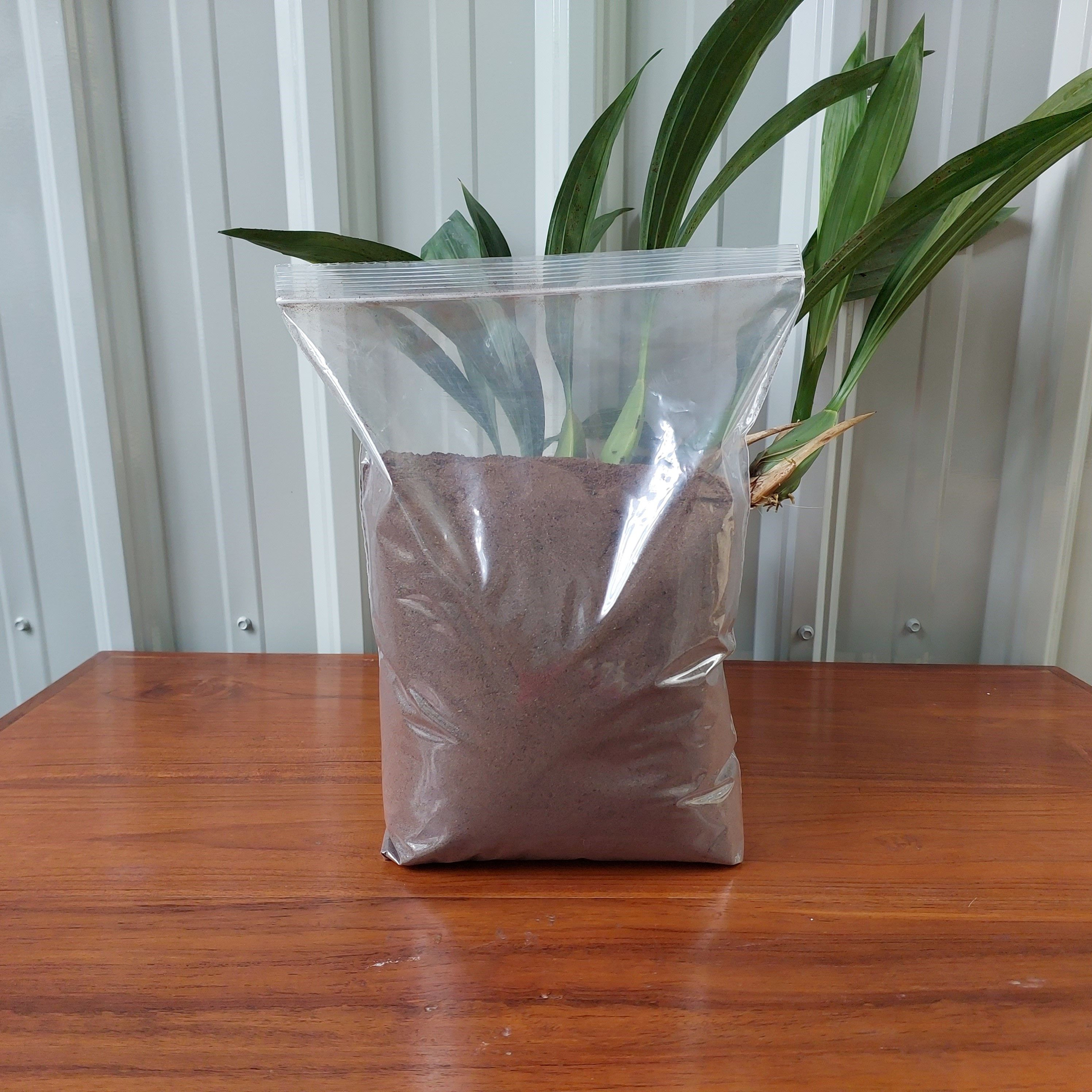 Buy Bat Guano - Powder from Madubaru Agrikultura, Indonesia ...