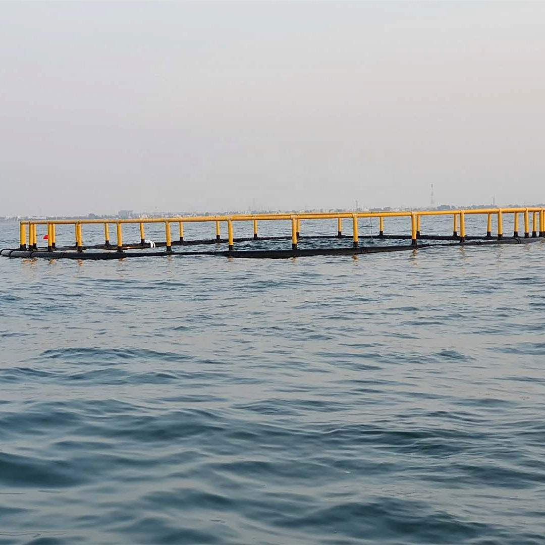 Buy Africa High Temperature Resistant Floating Pe Net Fish Farming ...