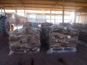 Buy Camel Hides, Skins, Genuine Leather from SAMEX AUSTRALIAN MEAT CO ...