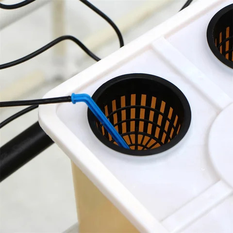 Buy Complete Hydroponics Dutch Bucket Or Bato Bucket System For ...