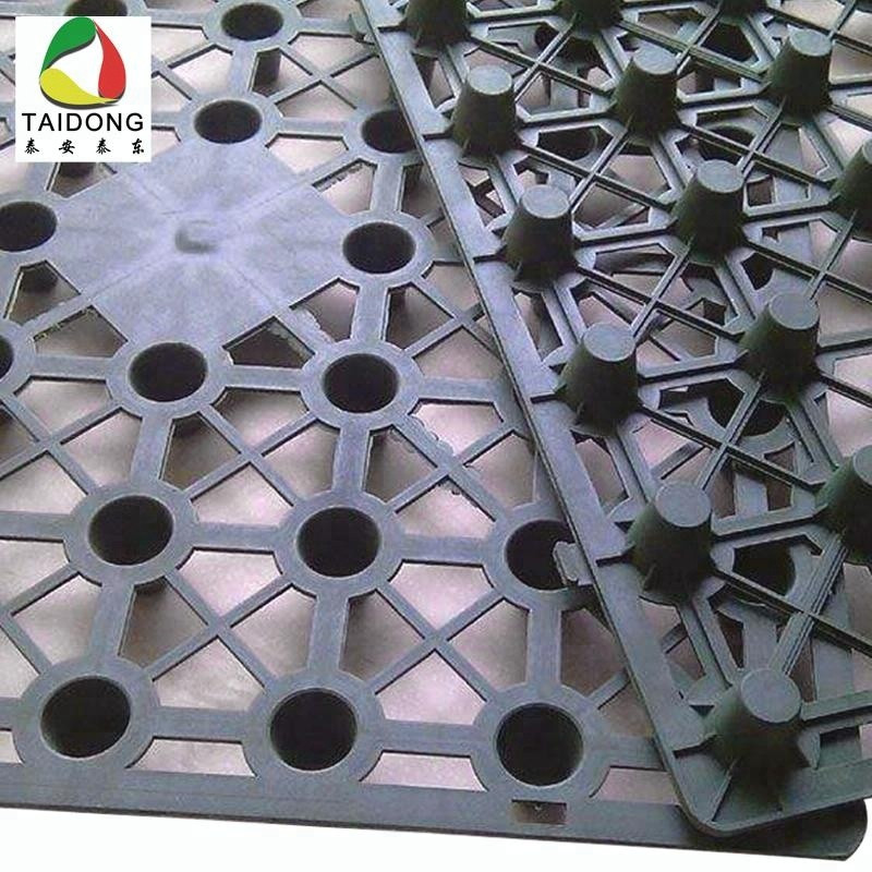 Buy Dimple Drain Board/hdpe Dimple Drainage Sheet from Taian Taidong ...