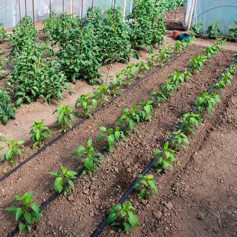 Buy Factory Farm Irrigation Water Tape Irrigation System Hdpe 16mm Pe ...