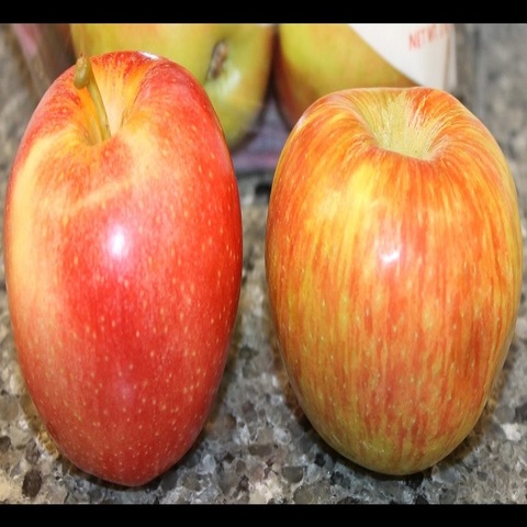 Buy Fresh Apples Red Fuji Green Golden Delicious Apples, Royal Gala ...