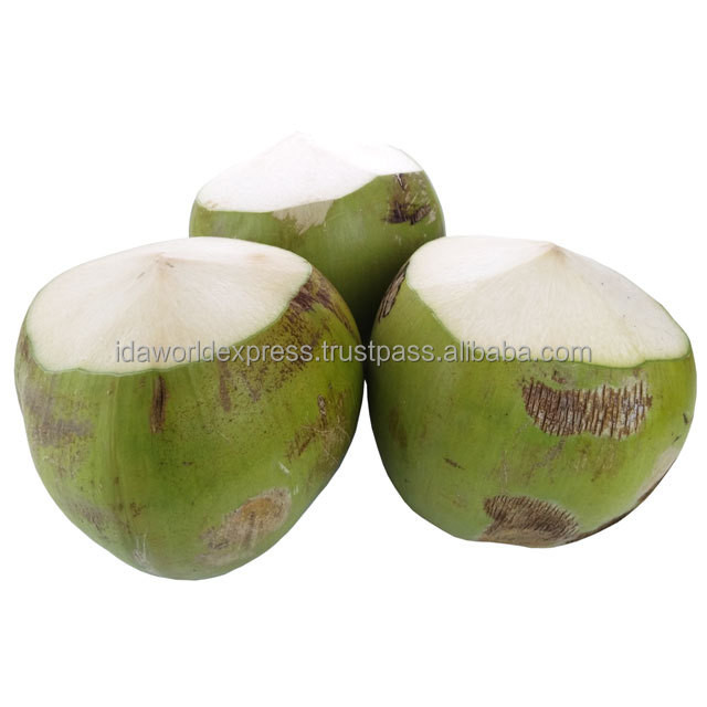 Buy Fresh Young Coconut The Coconuts Fresh Thailand Green With Sweet ...