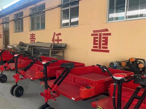 Buy Motorised Goods Carriage from Beijing Zhongan Ruidun Technology ...
