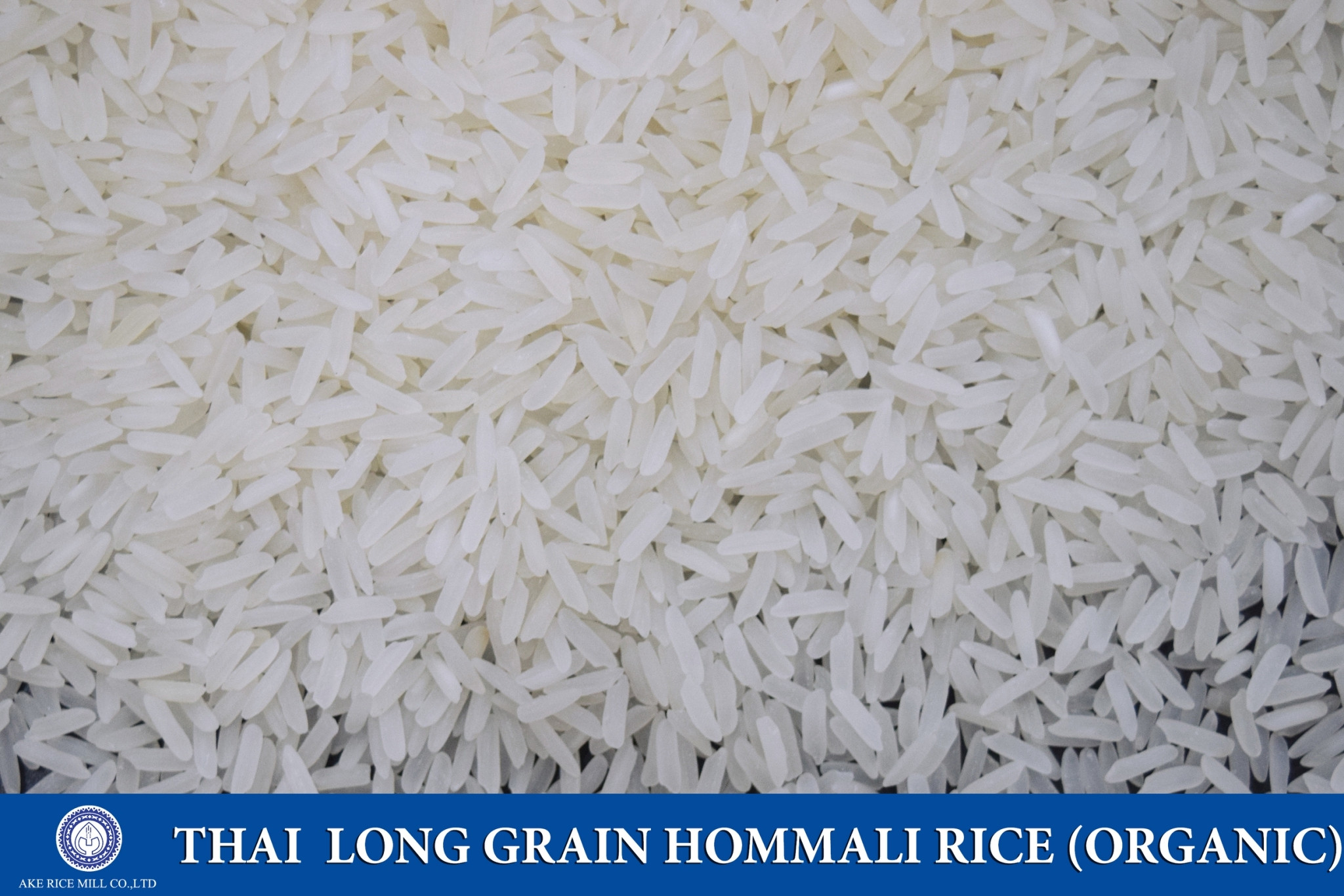 Buy Thai Organic Hom Mali Rice (organic Jasmine Rice) ( Premium Quality ...