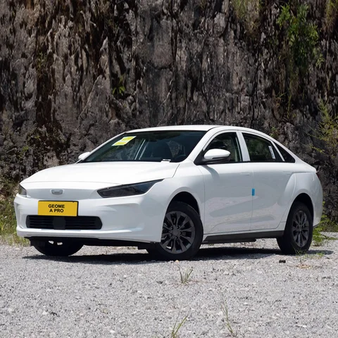 Buy The Hottest Geely Geometry A Pro 2024 Travel Edition 410km 2wd High ...