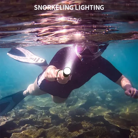 Buy Underwater Flashlight 2 Mode Diving Flashlight Waterproof ...
