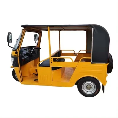Buy Wheel Electric Passenger Tricycle Rain Curtain For Easy-remova from ...