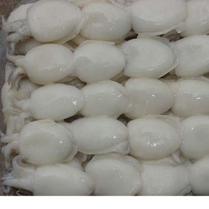 Buy Whole Round Block Frozen Baby Cuttlefish from TANYI SOLUTIONS ...