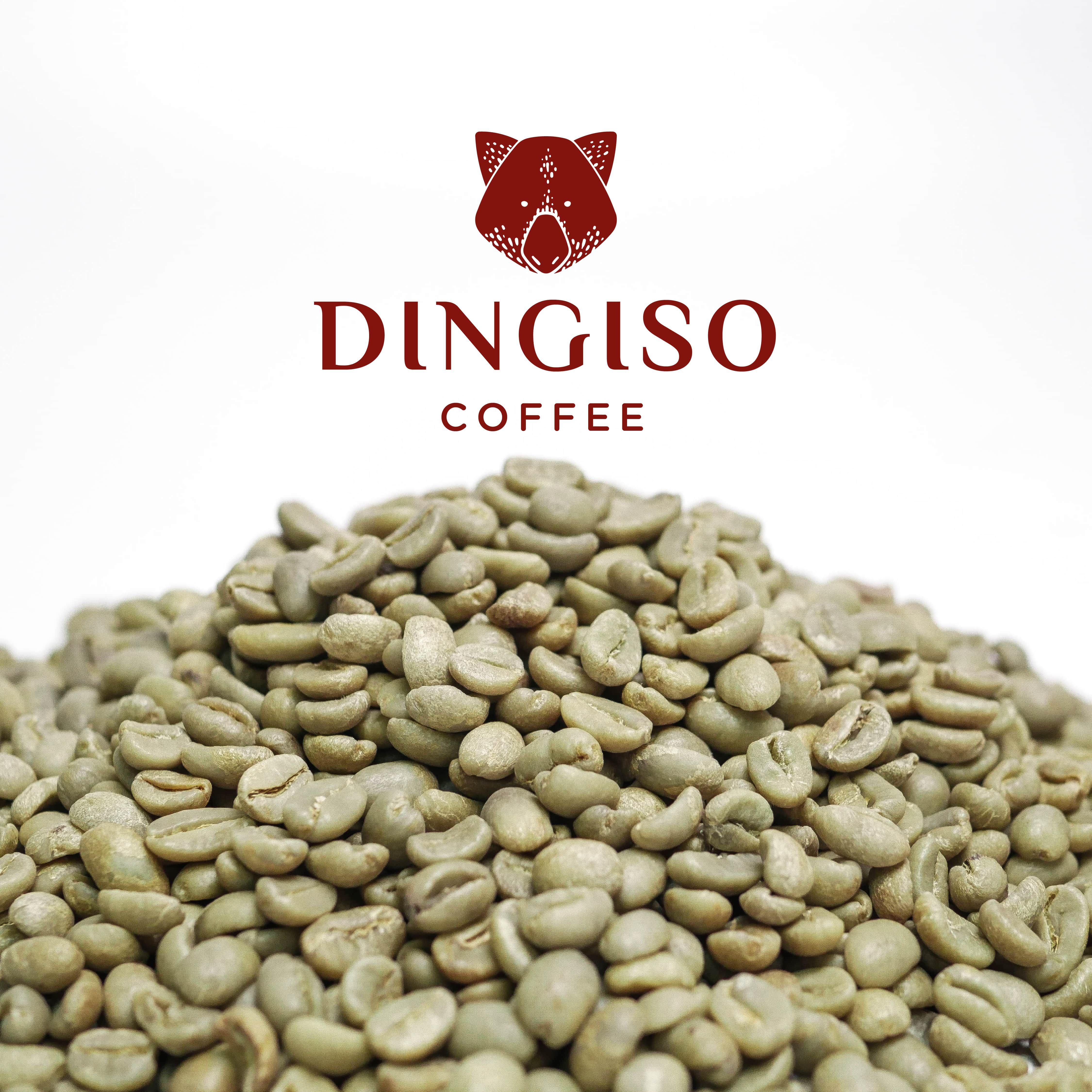 Buy Arabica/ Robusta Green Coffee Beans from Dingiso Coffee and ...