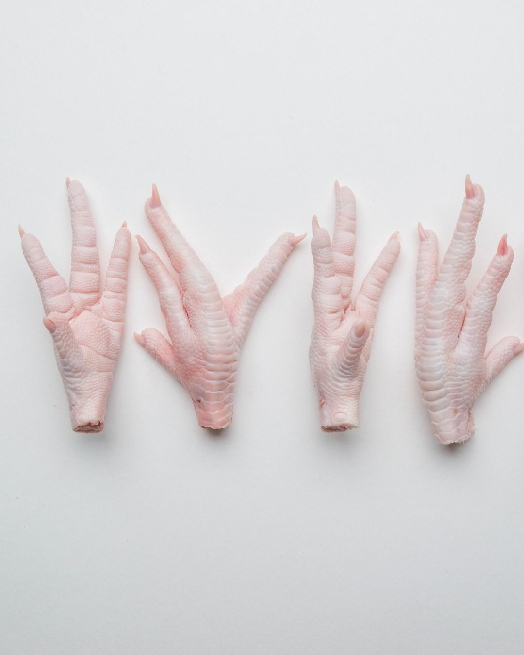 Buy Frozen Chicken Cuts from SearaAlim, Brazil | Tradewheel.com