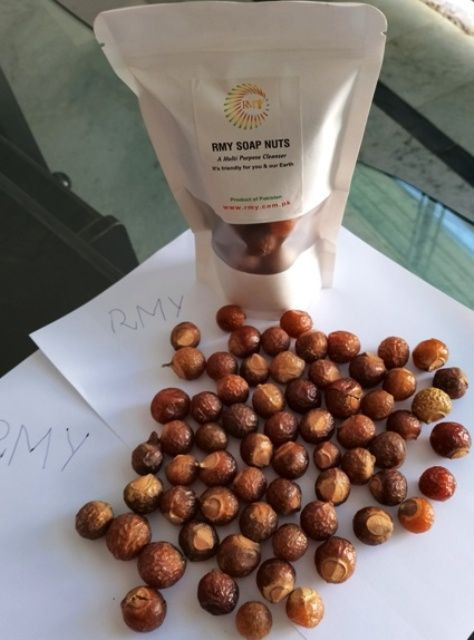 Buy Soap Nuts from RMY INTERNATIONAL, Poland | Tradewheel.com