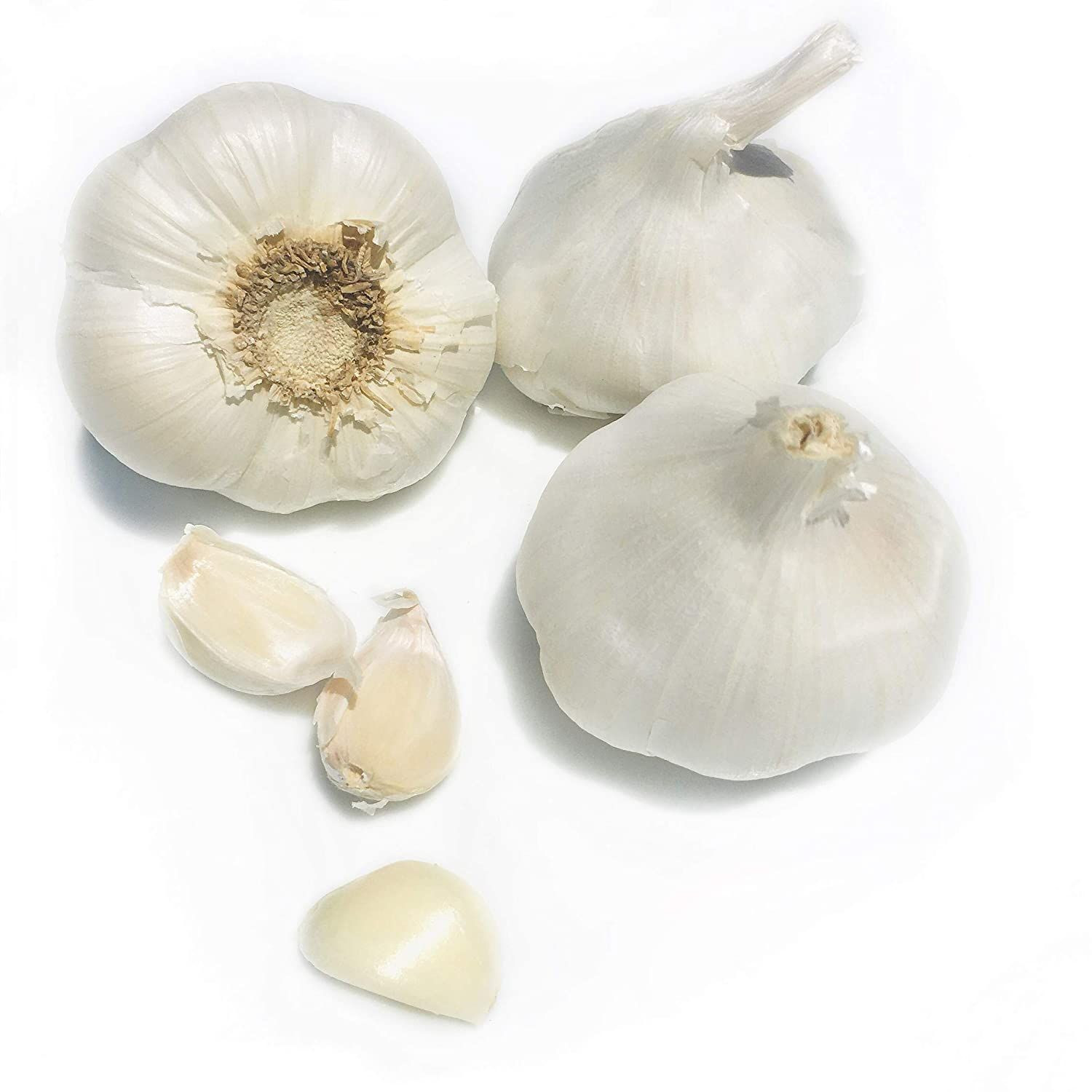 Buy Fresh Garlic Bulk Supply Premium Quality Natural Fresh Garlic With ...