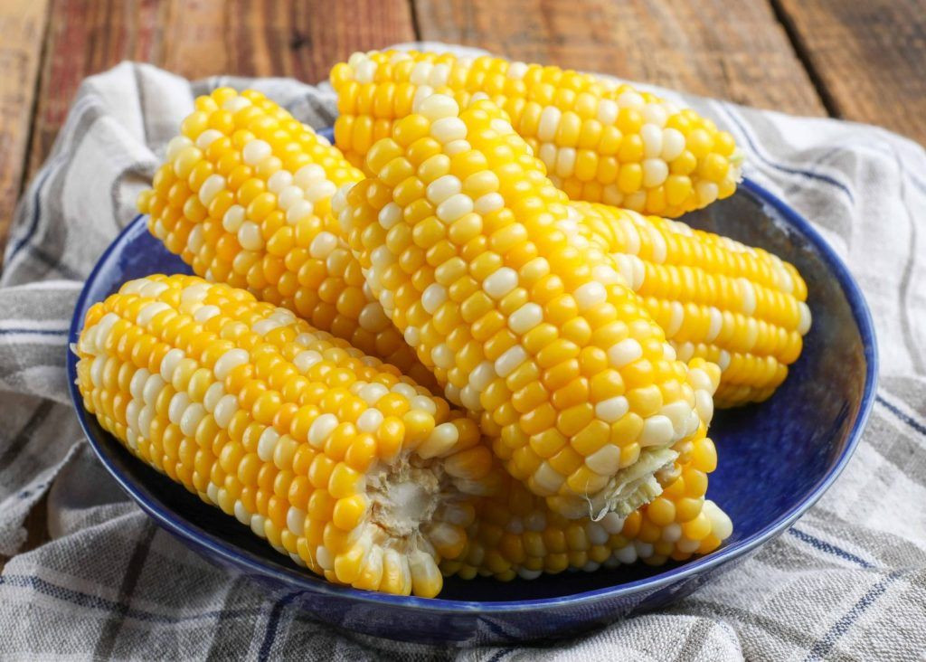 Buy High Quality Whole Corn from Trading-X Brazil Export & Import ...