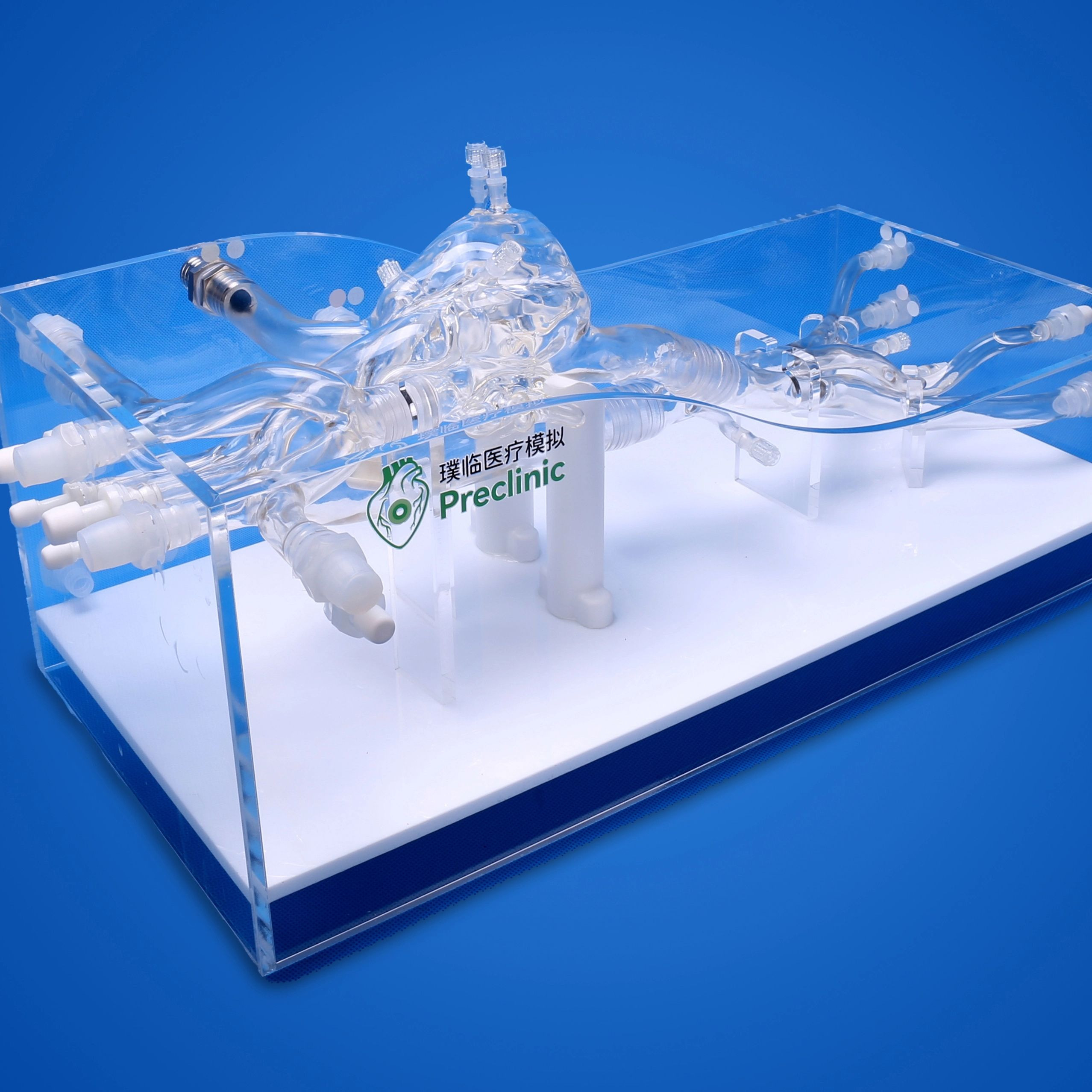 Buy Cardiac Intervention Simulation Model from Preclinic Medtech ...